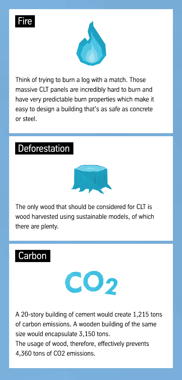 infographic-common-timbers-small_EN | URBAN HUB